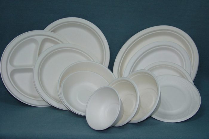 Pulp Molding To Tableware For Catering - Genesis